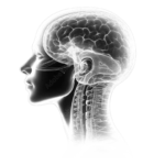 Specialties – Lewis K. Clarke M.D., PhD