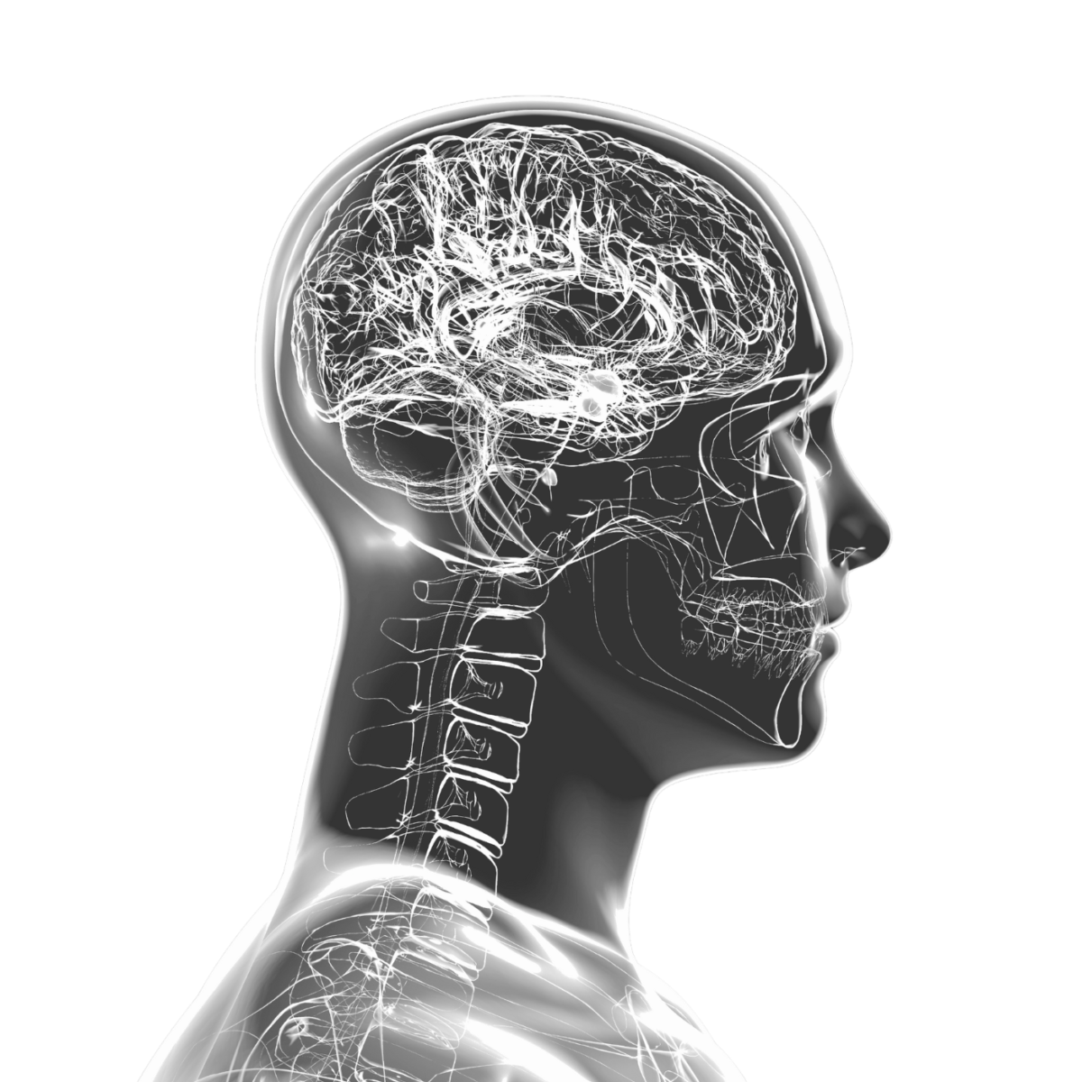 Specialties – Lewis K. Clarke M.D., PhD