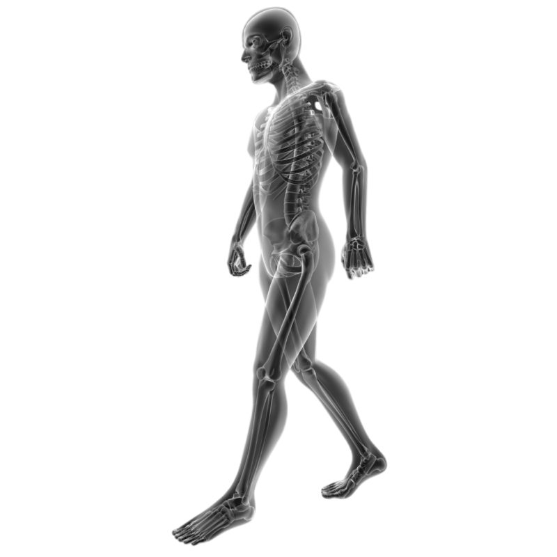 Specialties – Lewis K. Clarke M.D., PhD