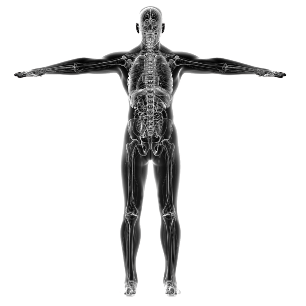 Specialties – Lewis K. Clarke M.D., PhD